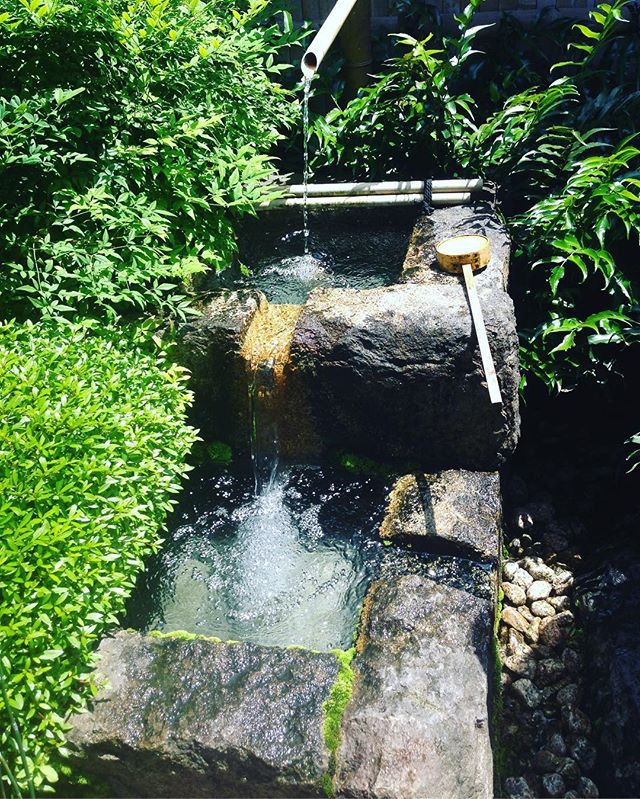 Ogaki-city is famous for its crystal clear spring water. - Soy Travel Japan